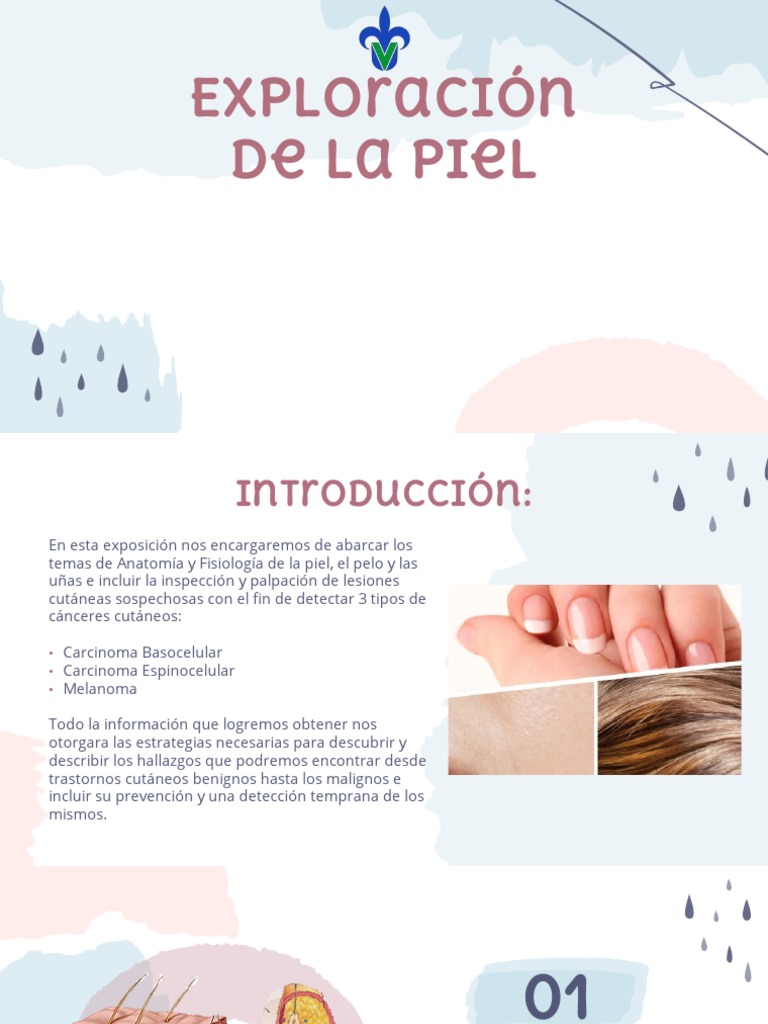 Exploración de La Piel | PDF | Piel | Perdida de cabello