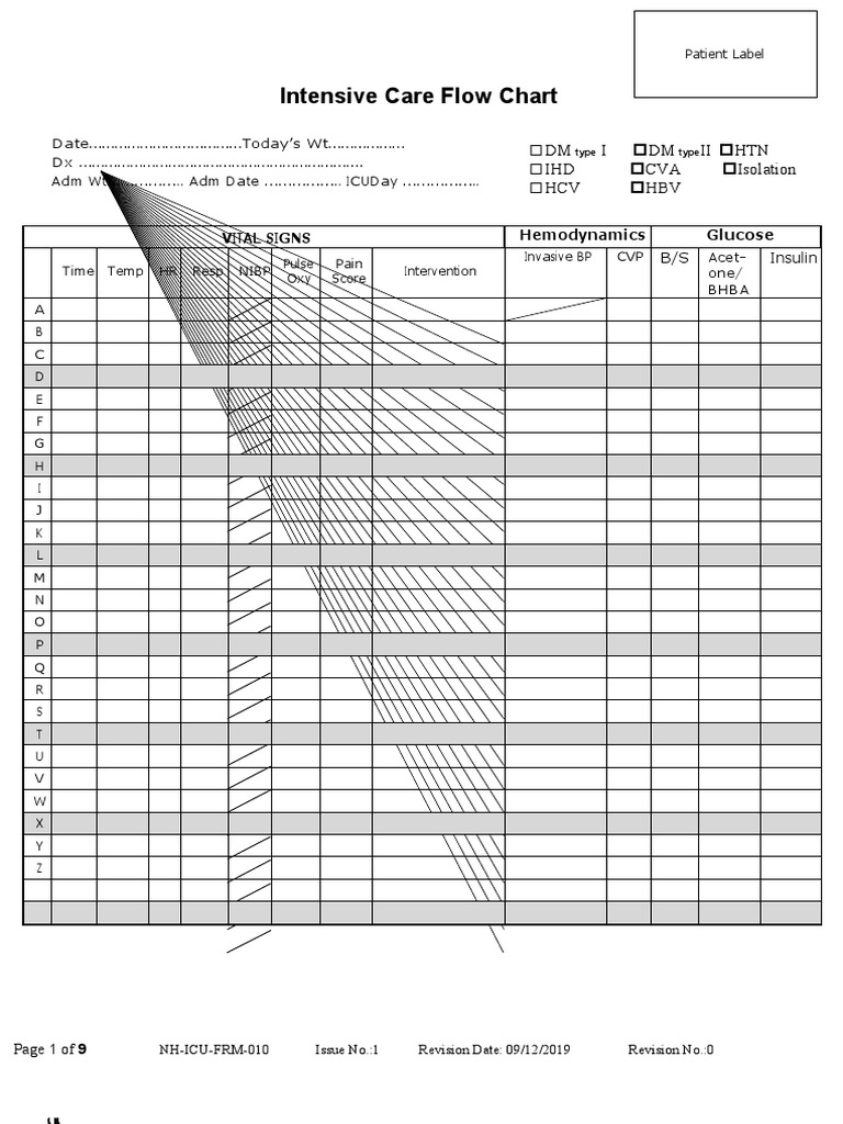 010-Nh-Icu-Frm-Icu Flow Chart | PDF | Intensive Care Medicine | Health ...