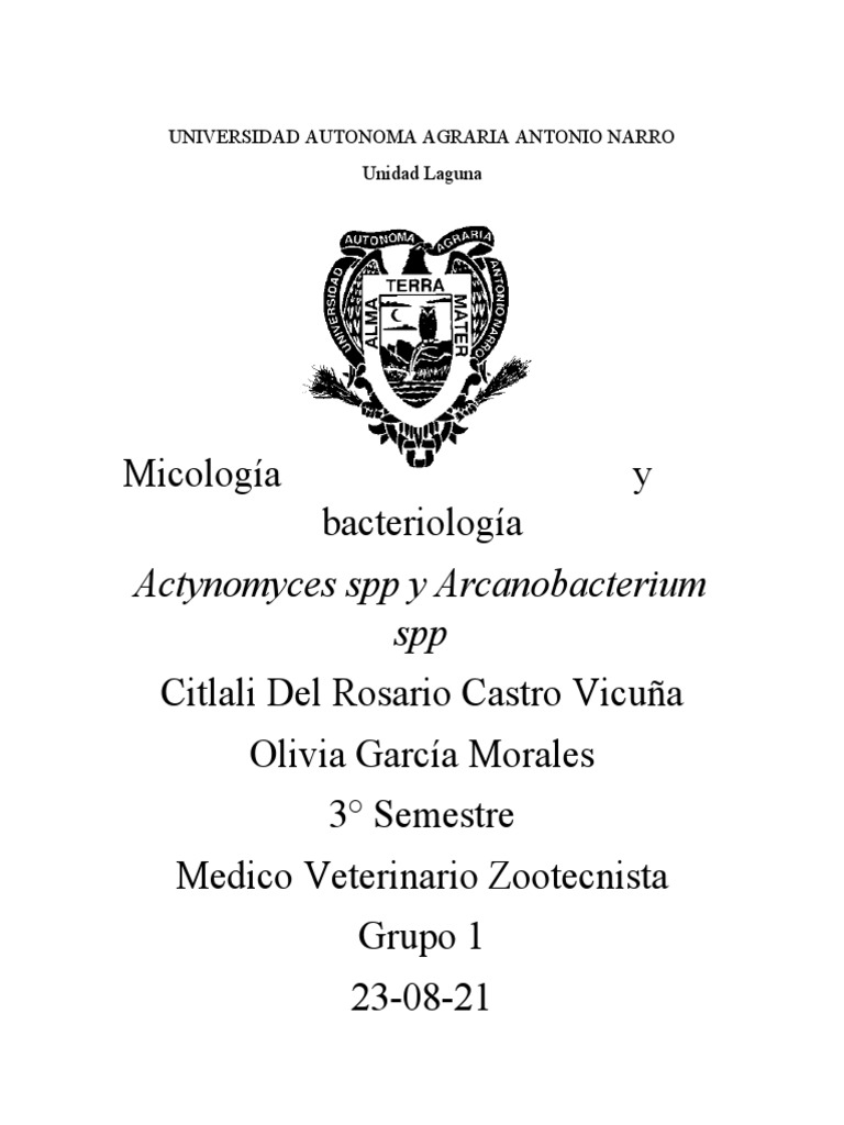 Actinomyces spp: Características y Manejo | PDF | Especialidades ...
