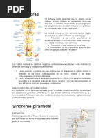Deterioro Rostrocaudal: Etiología | PDF | Medicina | Sistema nervioso