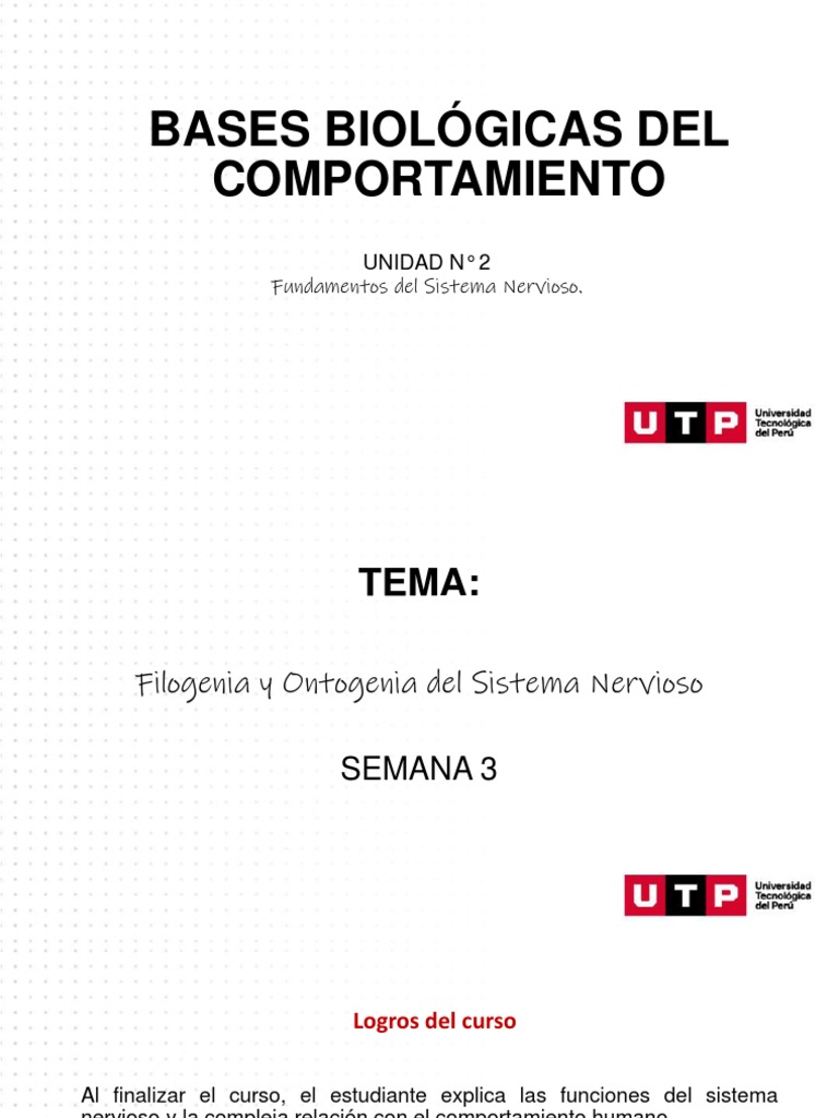 S03.S1. Filogenesis y Ontogenesis | PDF | Neurociencia conductual | Cerebro