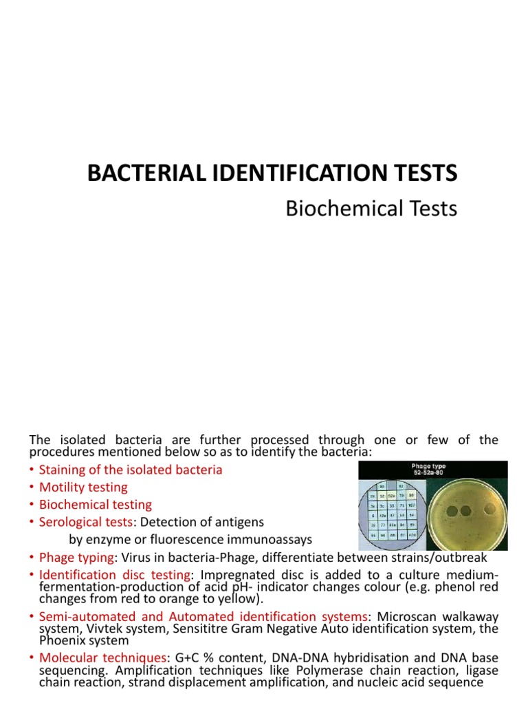 Biochemical Test | PDF | Chemistry