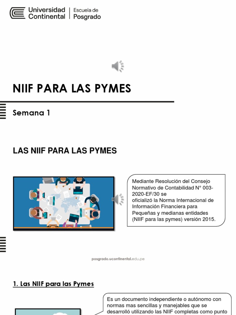 Niff para Pymes | PDF | normas internacionales de INFORMACION ...