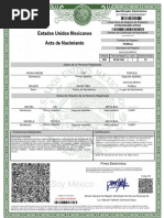 Llenado Op5 Op7 | PDF | Pasaporte | México