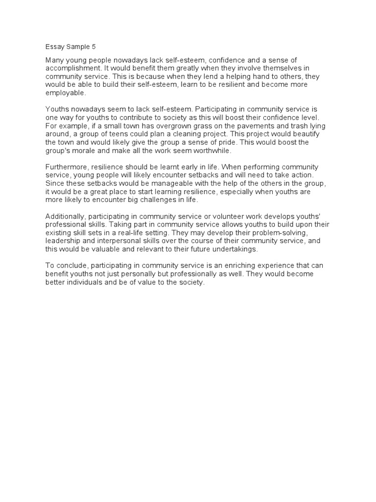 Essay Sample 5 | PDF