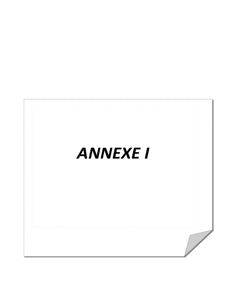 Annexe Asma Mejri Et Omaima Abed | PDF | Analyses | Physique appliquée et interdisciplinaire