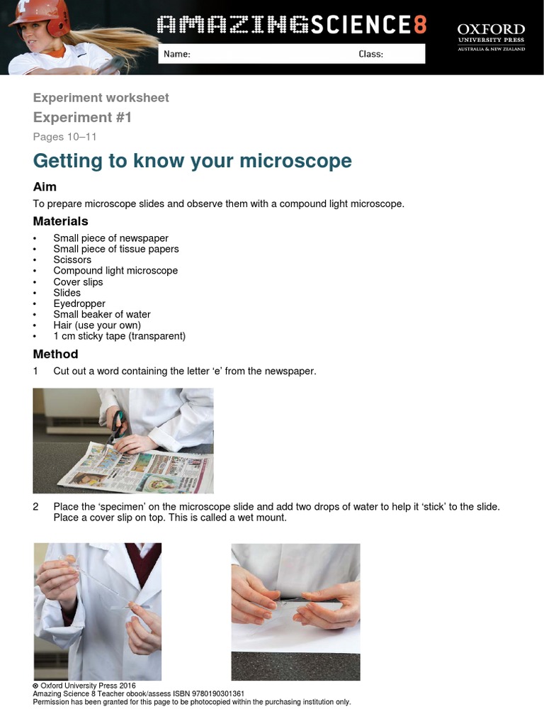 Getting To Know Your Microscope Lab | PDF | Art | Science & Mathematics