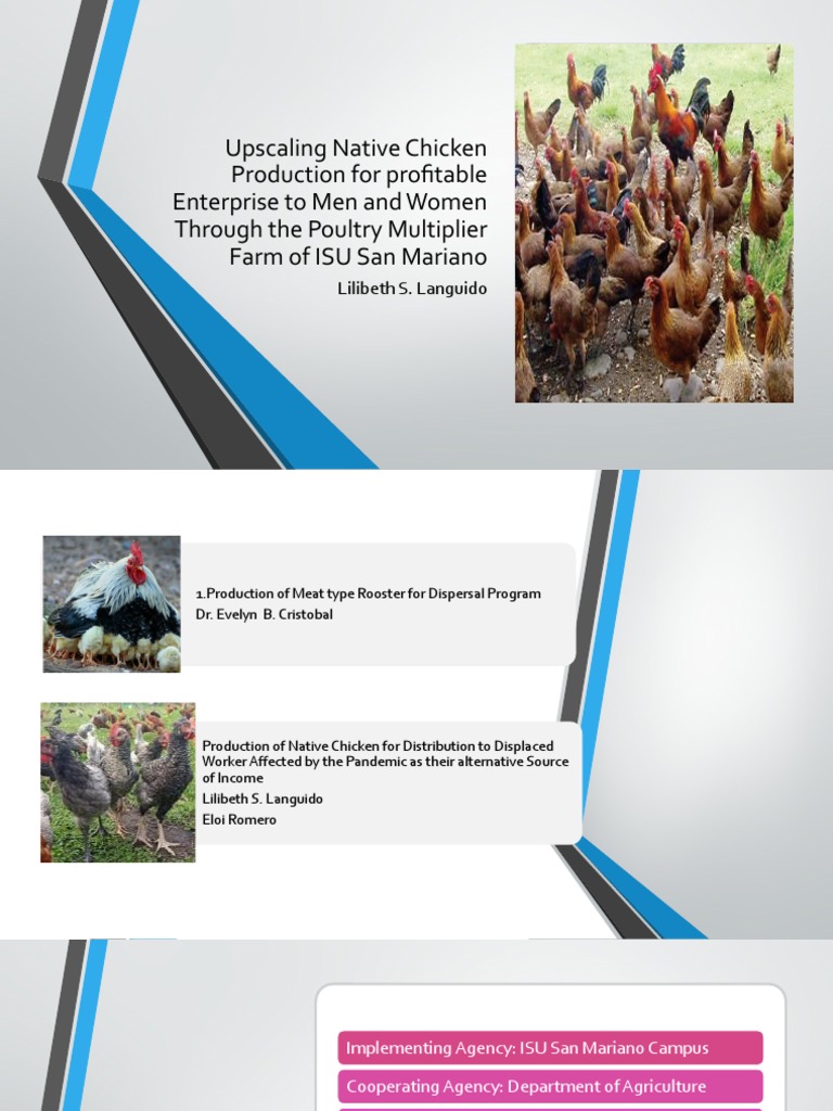 Upscaling Native Chicken Production For Profitable Enterprise To | PDF ...