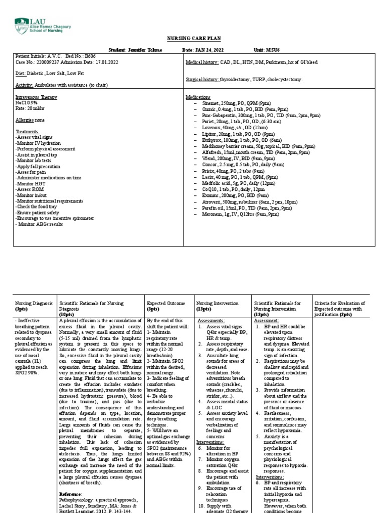 NURSING CARE PLAN (Ineffective Breathing Pattern) | PDF | Breathing | Lung