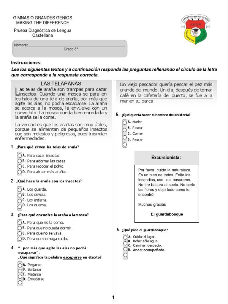 Prueba Diagnóstica 3º Español | PDF | Araña | Telaraña