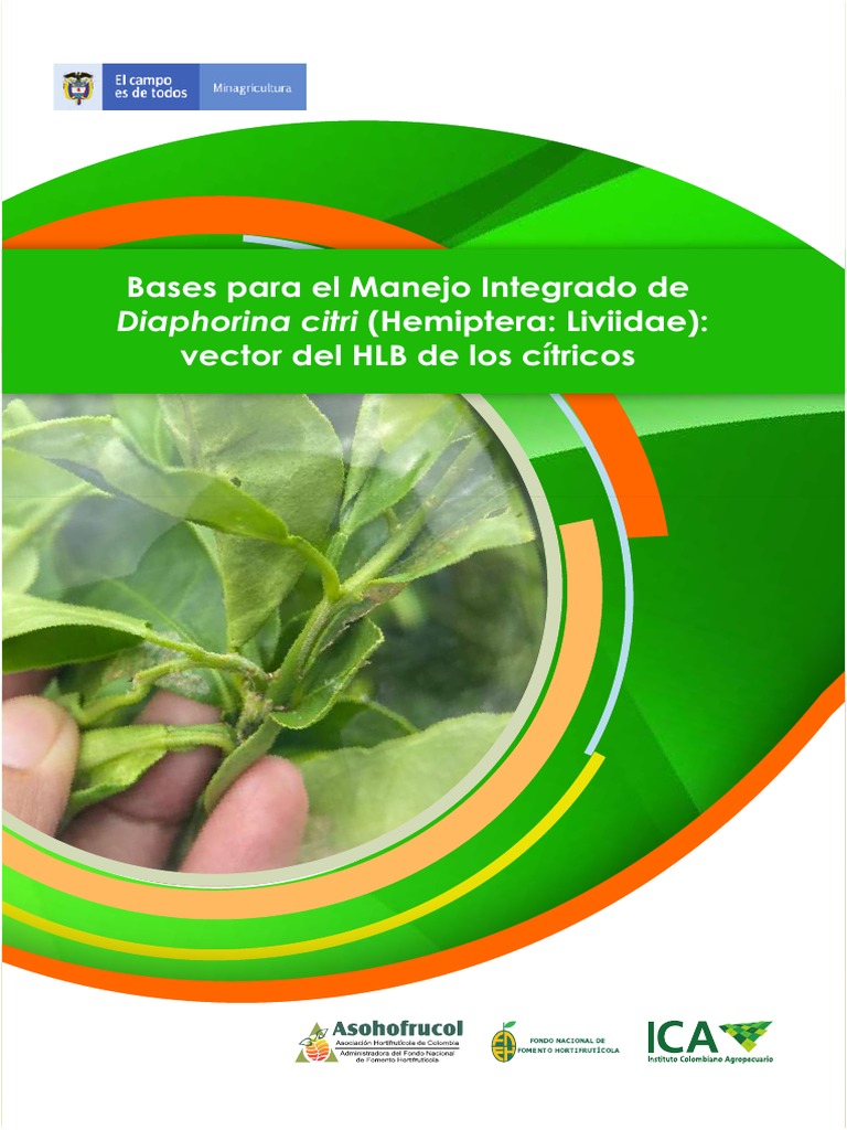 Bases para El Manejo Del HLB ICA ASOHOFRUCOL | PDF | Insectos | Organismos