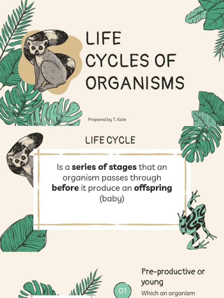 Organism Life Cycles Explained | PDF | Zoology | Organisms
