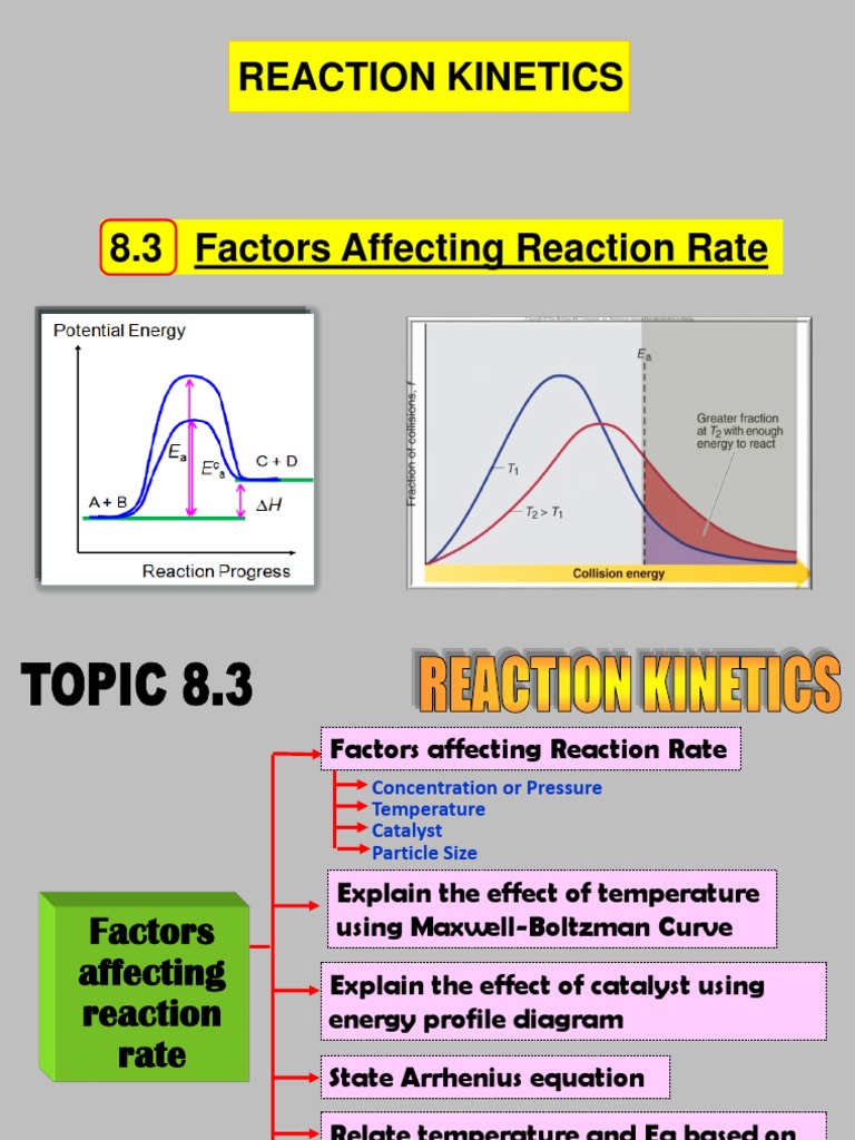 Factors Influencing Reaction Rates | PDF | Reaction Rate | Chemical ...