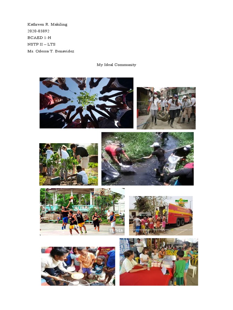 NSTP 2 Ideal Community | PDF