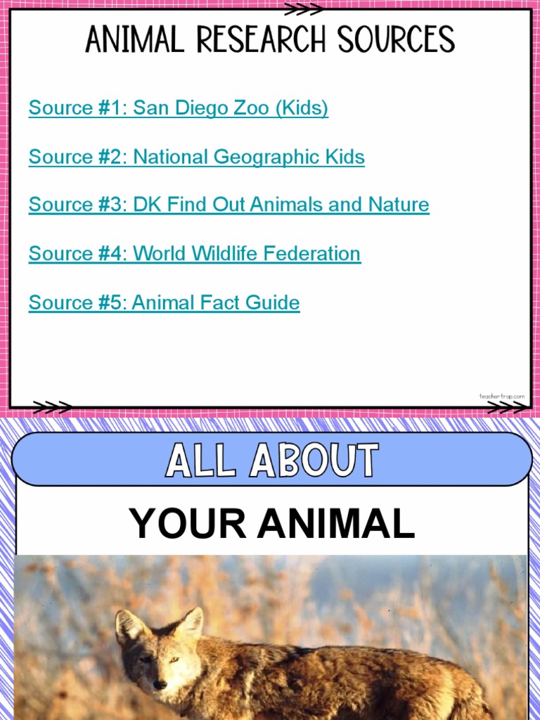 stc202701 Student - Student Animal Research Project | PDF | Coyote ...