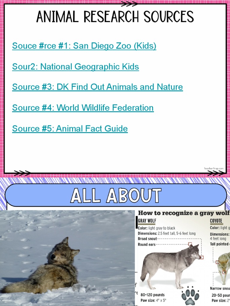 stc202720 Student - Student Animal Research Project | PDF