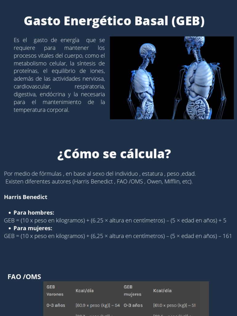 Geb y Get | PDF | Nutrición | Dieta y nutrición