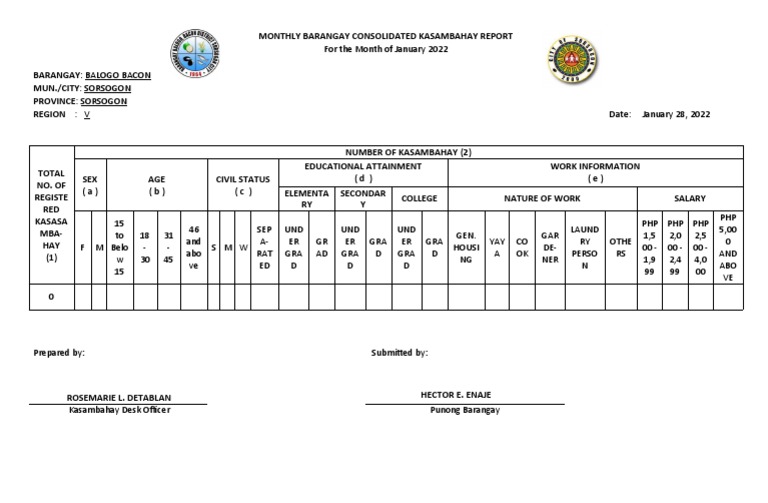 Monthly Barangay Consolidated Kasambahay Report | PDF