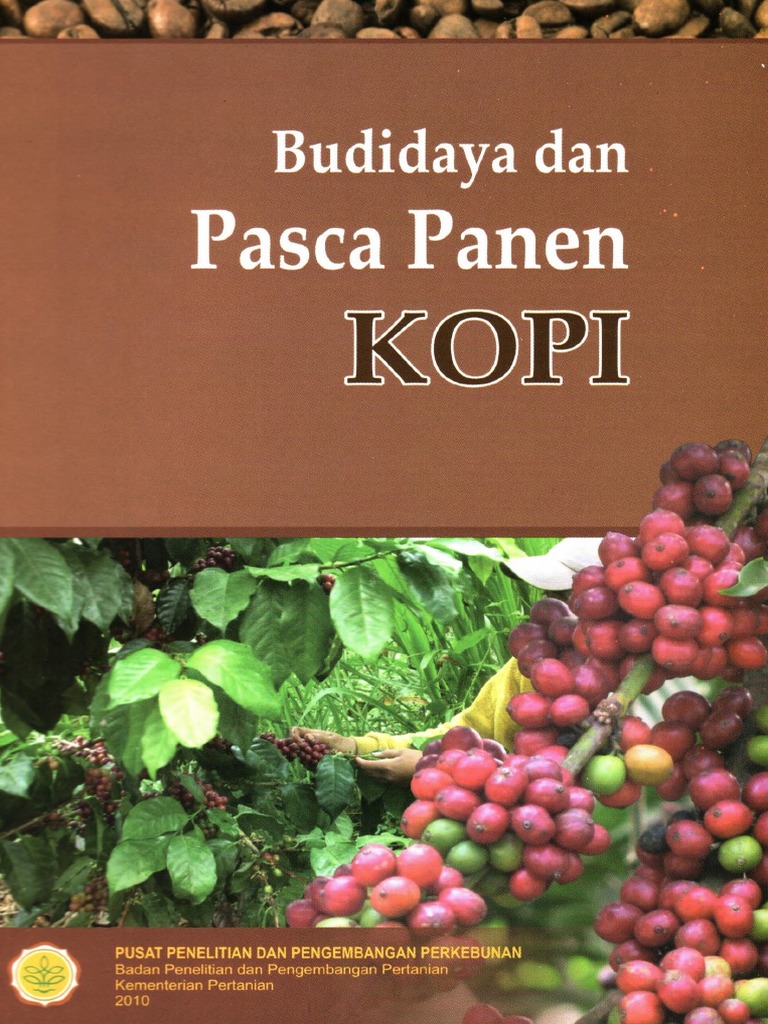 Budidaya Dan Pasca Panen Kopi | PDF