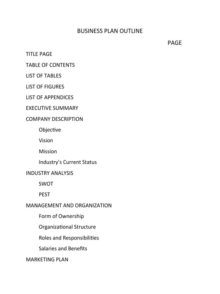 Business Plan Outline | PDF | Business | Computers