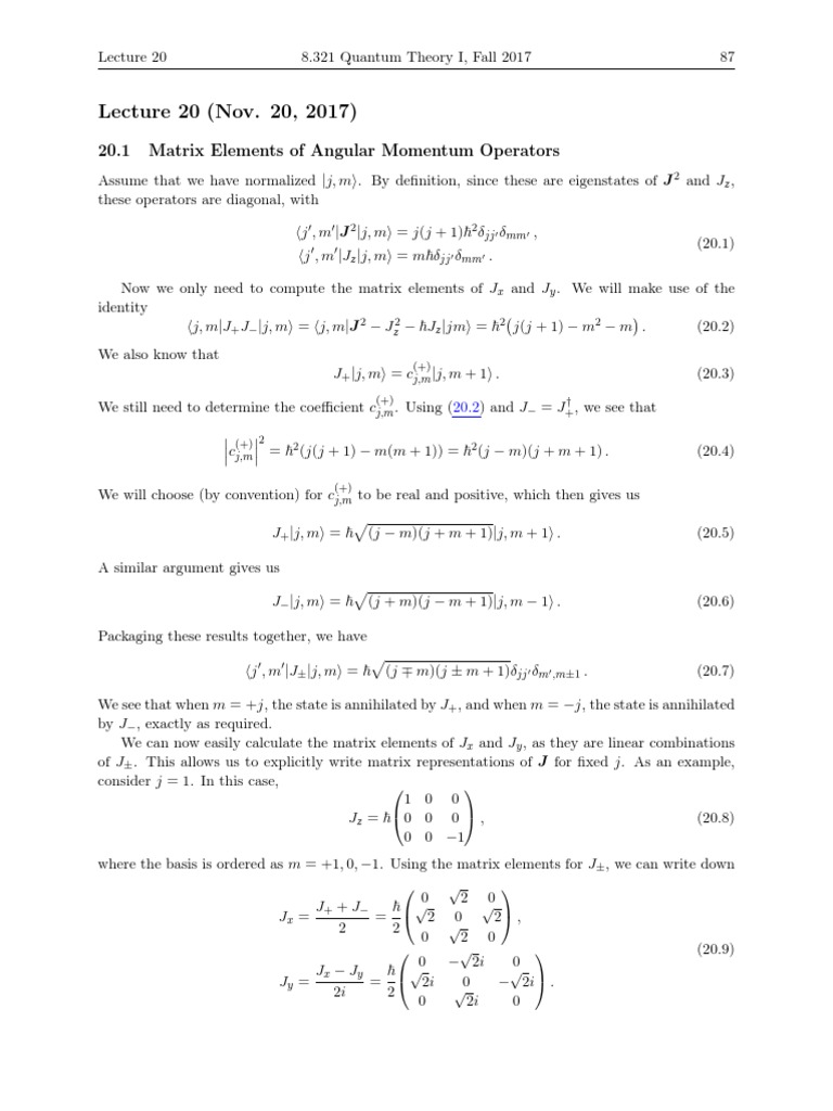 MIT8 321F17 Lec20 PDF Matrix Mathematics Group Mathematics 