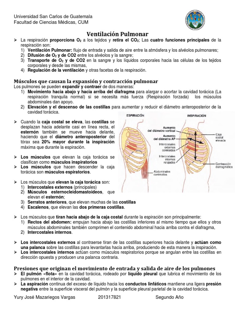 Cap 37, Ventilación Pulmonar, Guyton | PDF | Pulmón | Sistema respiratorio