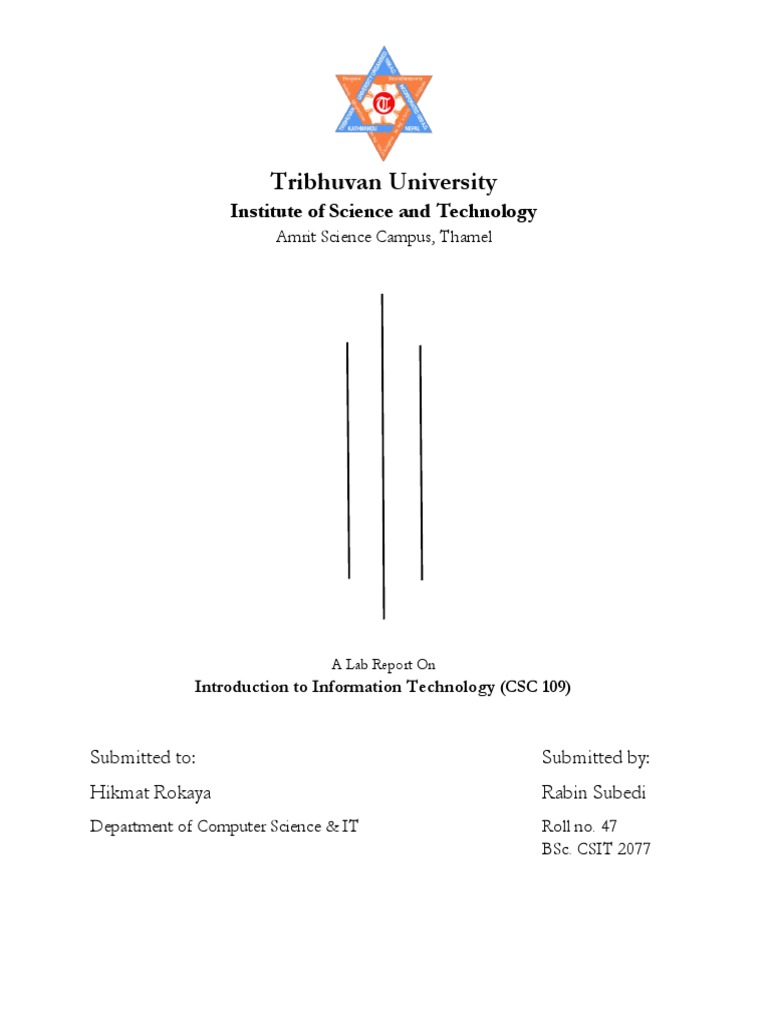 IIT Lab Report | PDF | Microsoft Excel | Microsoft Word