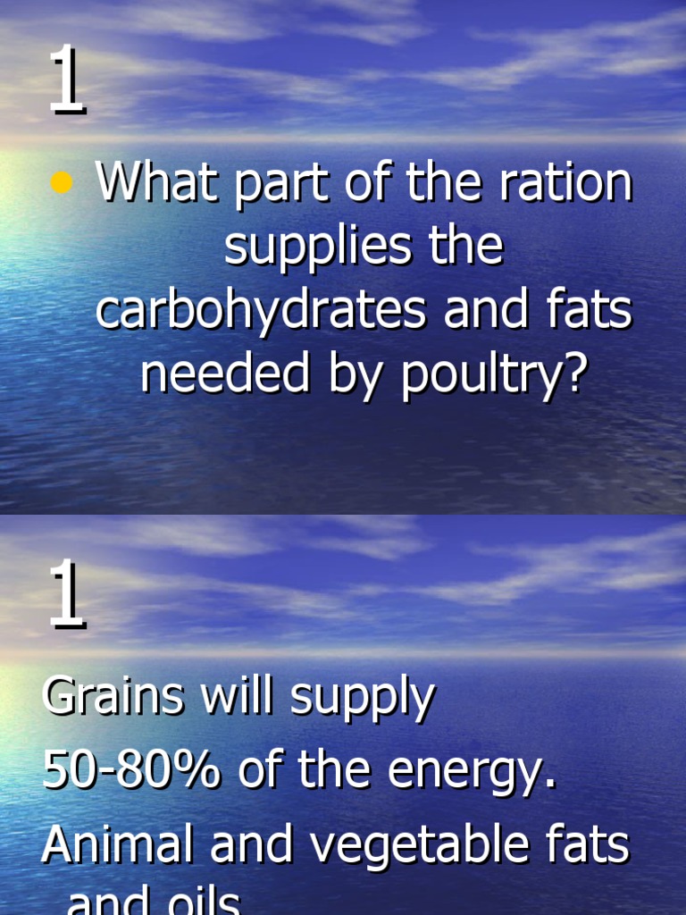 Poultry Ration and Feeding Guide | PDF | Chicken | Broiler