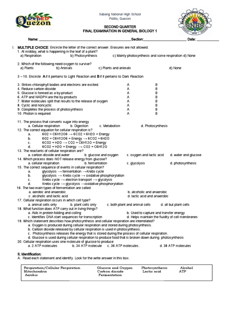General Biology 1 Quarter 2 Exam | PDF | Cellular Respiration ...
