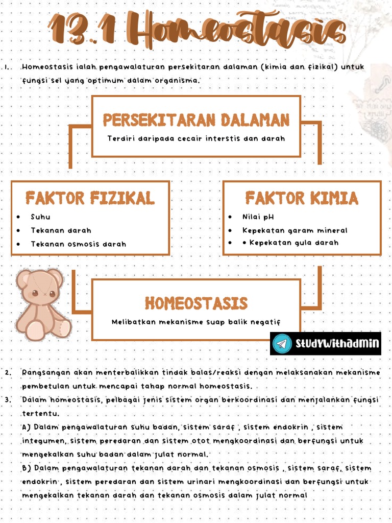 Bio B13 F4 Studywithadmin | PDF