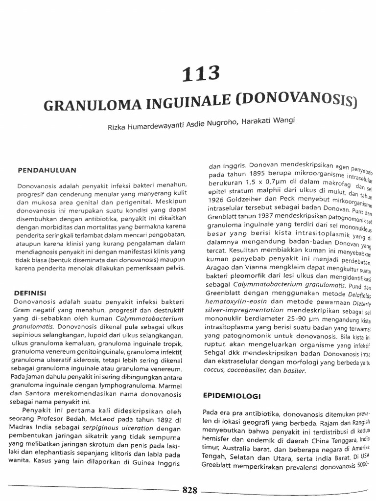 113 Granuloma Inguinale | PDF
