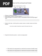 3rd Grade - Food Chain Worksheet | PDF