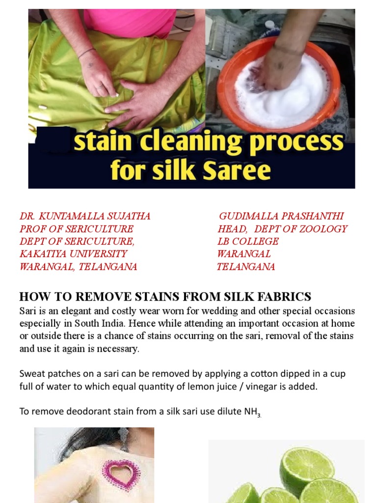 Stain Removal | PDF | Silk | Clothing