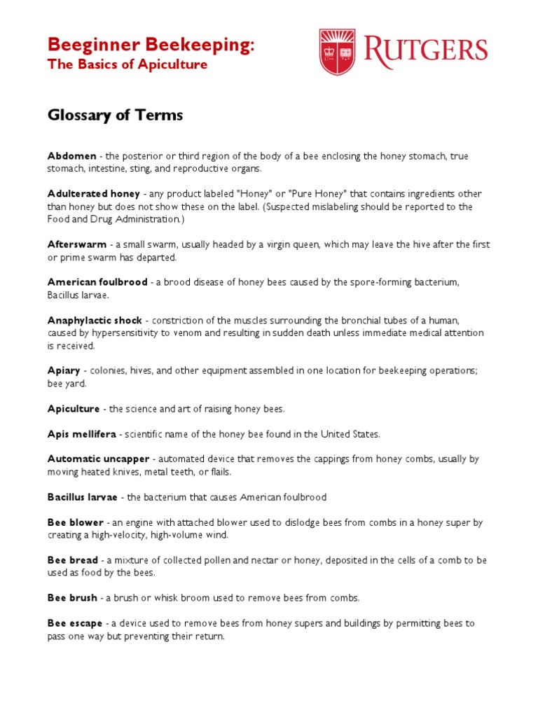 Beekeeping Glossary for Beginners | PDF | Honey Bee | Beehive