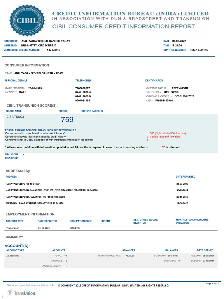 Emlap Cibil Report 04-02-2022 18 24 08 | PDF | Credit Card | Loans