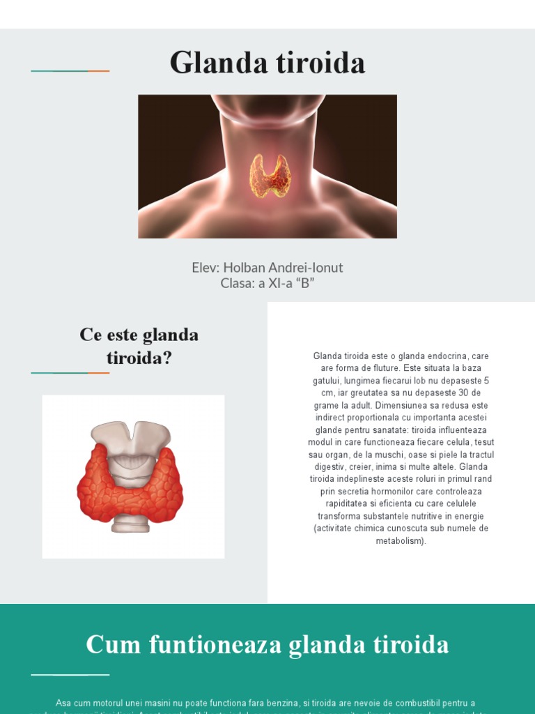 Glanda Tiroida | PDF