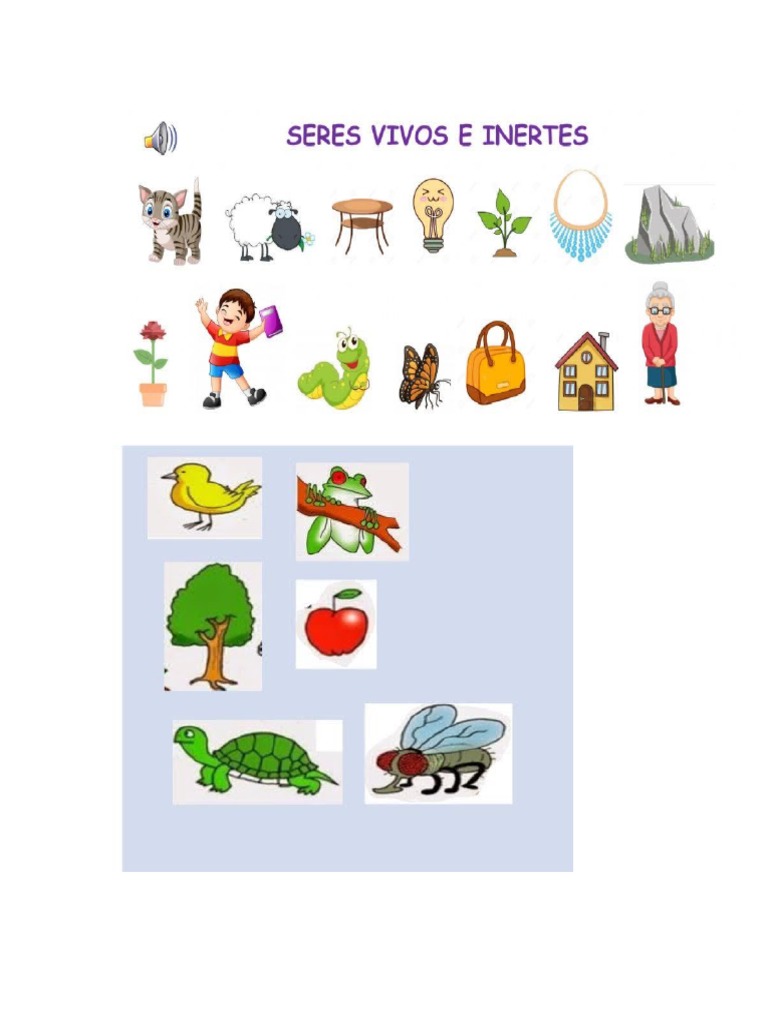 Seres Vivos y No Vivos | PDF