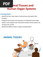 Plant and Animal Organ System and Their Functions | PDF | Human Body ...