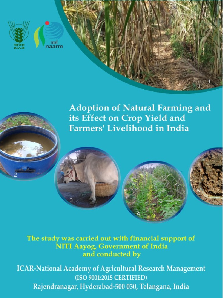 Natural Farming Project Report-ICAR-NAARM | PDF | Agriculture | Soil