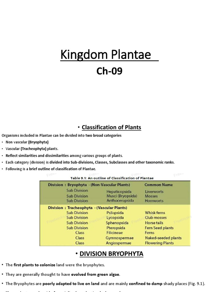 Biology Kingdom Plantae FSC First Year | PDF | Spore | Flowers