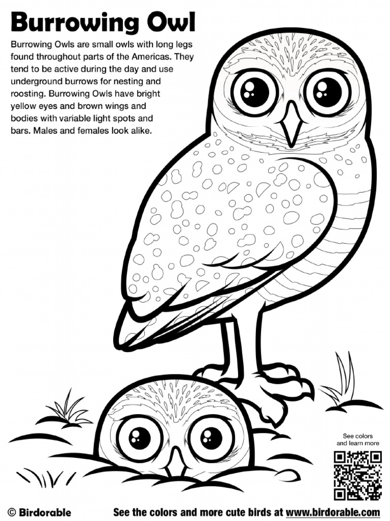 Birdorable Burrowing Owl Coloring Page | PDF