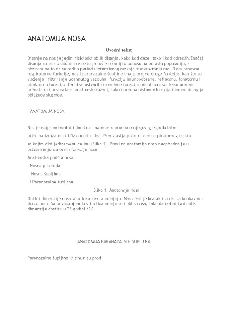 Anatomija Nosa | PDF