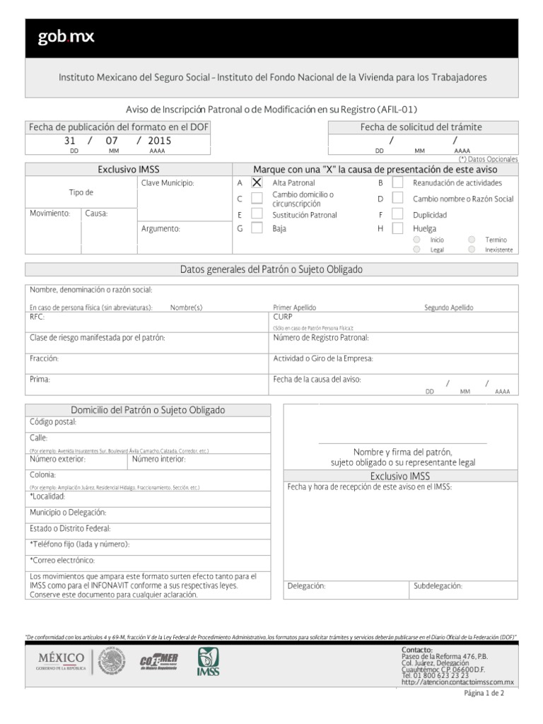 Alta de Patron en Imss Formato | PDF