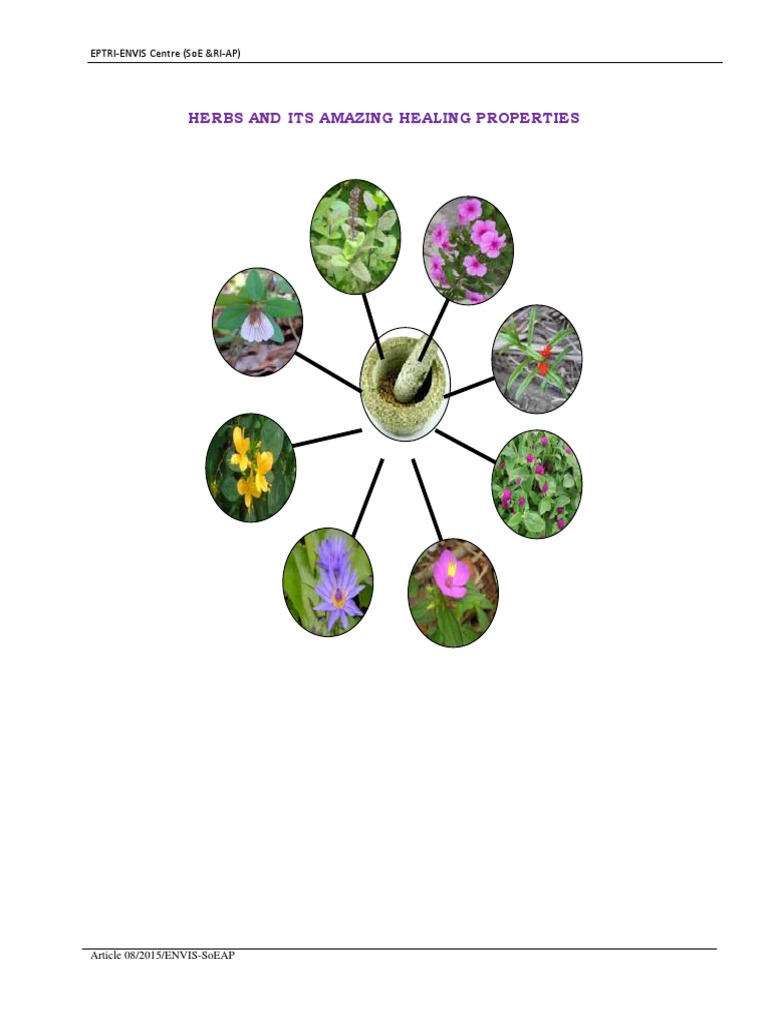 Medicinal herbs and their healing properties | PDF | Plants