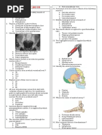 Sacral OMM Guide | PDF | Anatomical Terms Of Motion | Human Anatomy