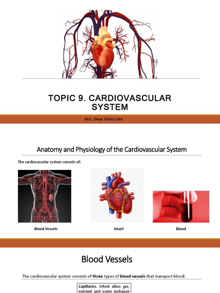 Topic 9 Cardiovascular System | Download Free PDF | Heart Valve | Heart