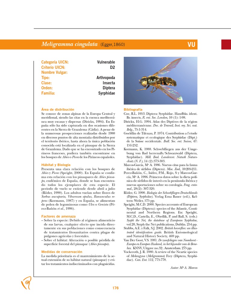 Ficha de la especie Meligramma cingulata | PDF | Ciencias sociales