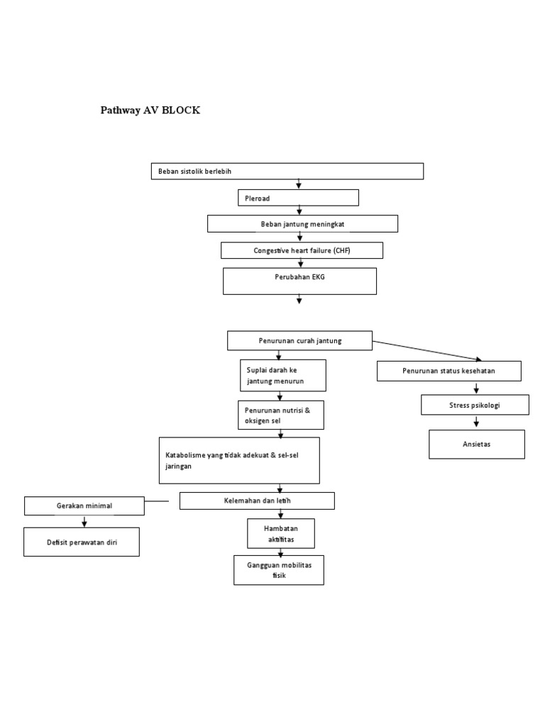 Pathway CHF Ida | PDF