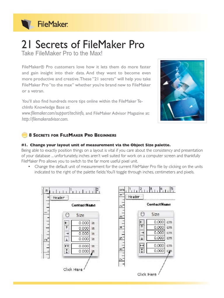 21 Secrets of Filemaker | PDF | Computer File | File Maker