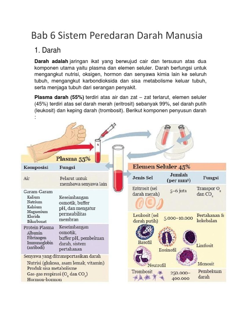 IPA Bab 6 Kelas 8 Semester 1 | PDF